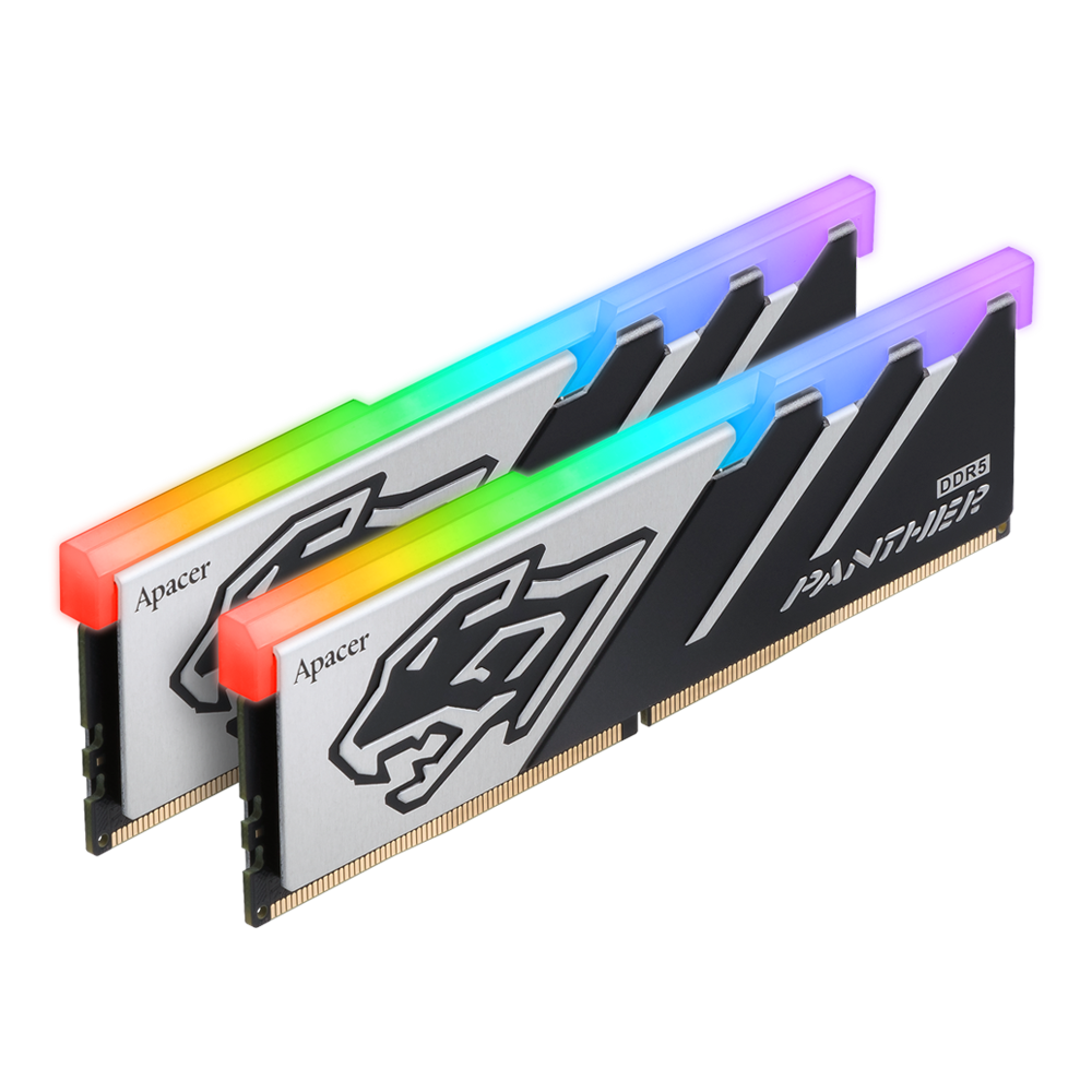 High-Speed RGB DDR5 Gaming RAM | PANTHER Series for Gamers - Apacer ...
