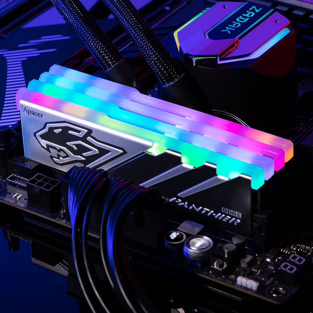 Best gaming RGB DRAM | PANTHER RGB DDR5 features gaming DRAM super ...